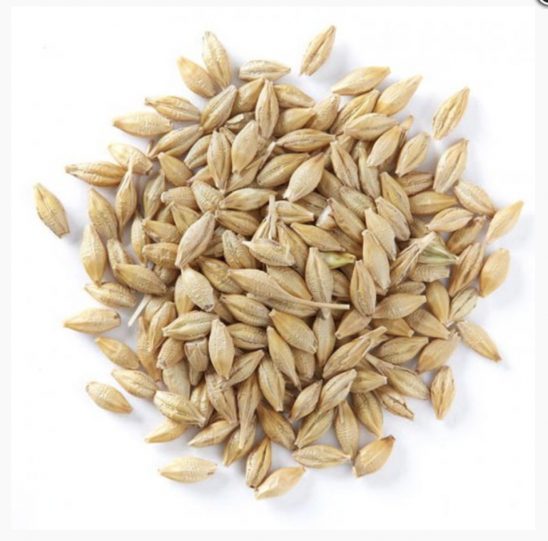 ΚΡΙΘΑΡΙ - NUTRISEED FEED SMART PRIVATE COMPANY